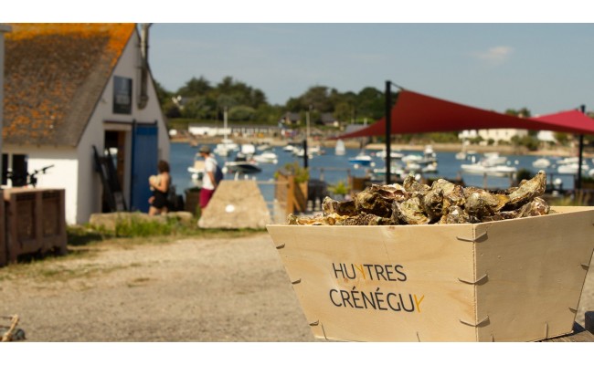 Huîtres Plates Belon de Bretagne
