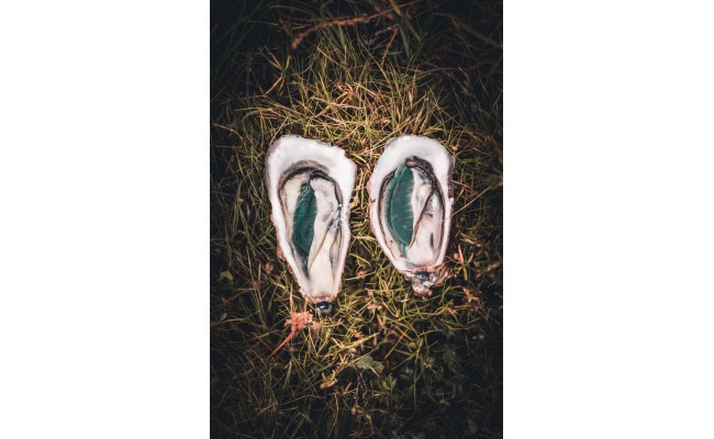 La Viridis L'huitre Verte