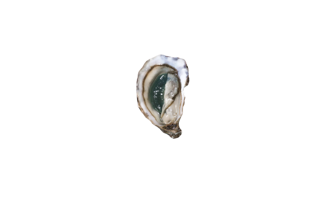 La Viridis L'huitre Verte