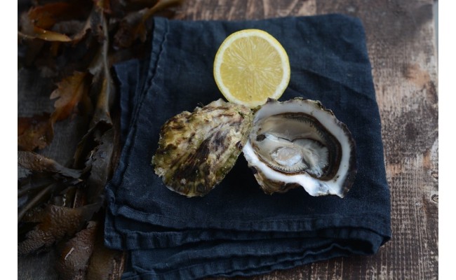 Huîtres Plates Belon de Bretagne