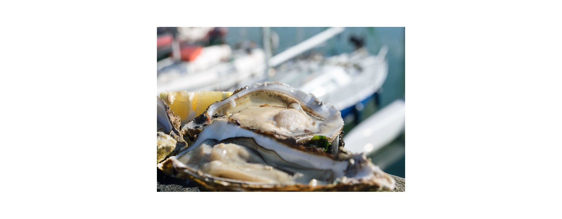 Tout Savoir sur les Huîtres Françaises – Variétés, Terroirs et Conseils ...