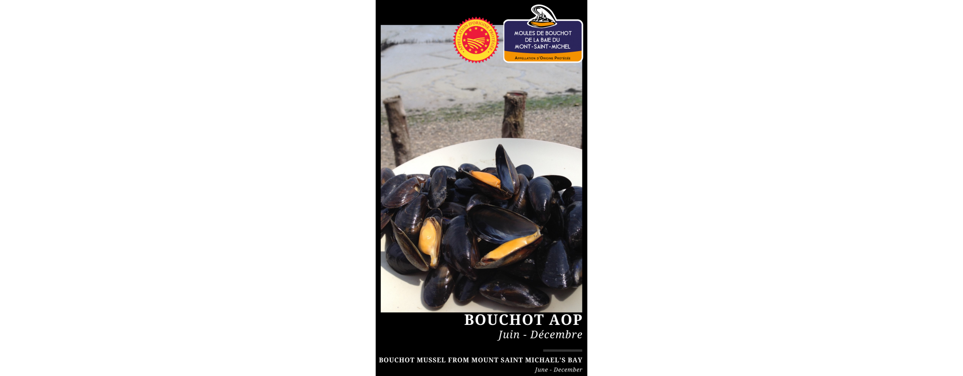 Découvrez les Moules de Bouchot de la Baie du Mont-Saint-Michel AOP